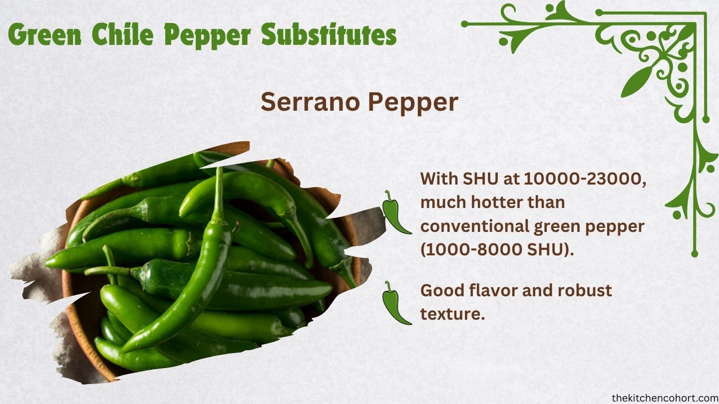 13 Top Substitutes For Green Chilies – A Discussion In Detail - The ...