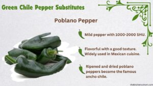 13 Top Substitutes For Green Chilies – A Discussion In Detail - The ...