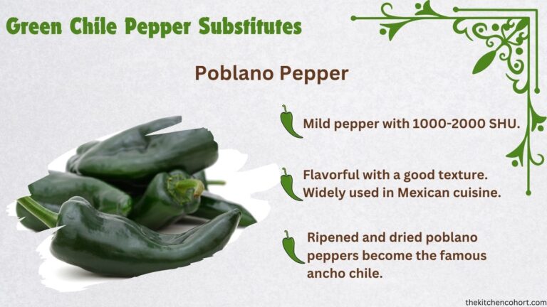 13 Top Substitutes For Green Chilies – A Discussion In Detail - The ...