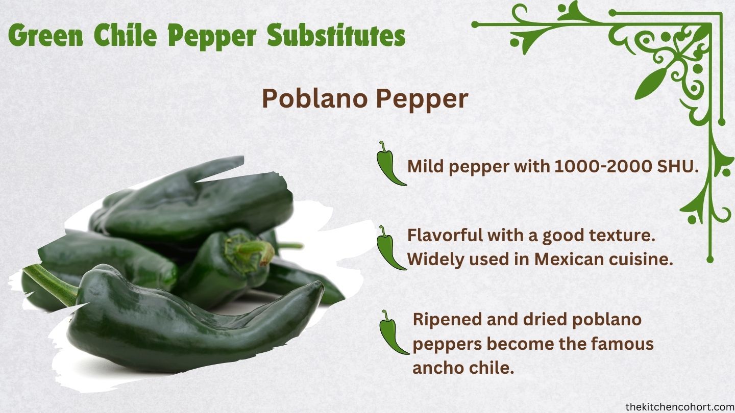 13 Top Substitutes For Green Chilies – A Discussion In Detail - The ...
