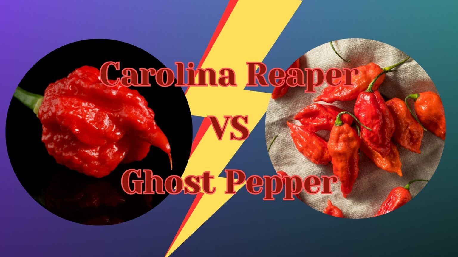 Carolina Reaper vs Ghost Pepper — The Kingdom Of Hot Peppers - The ...