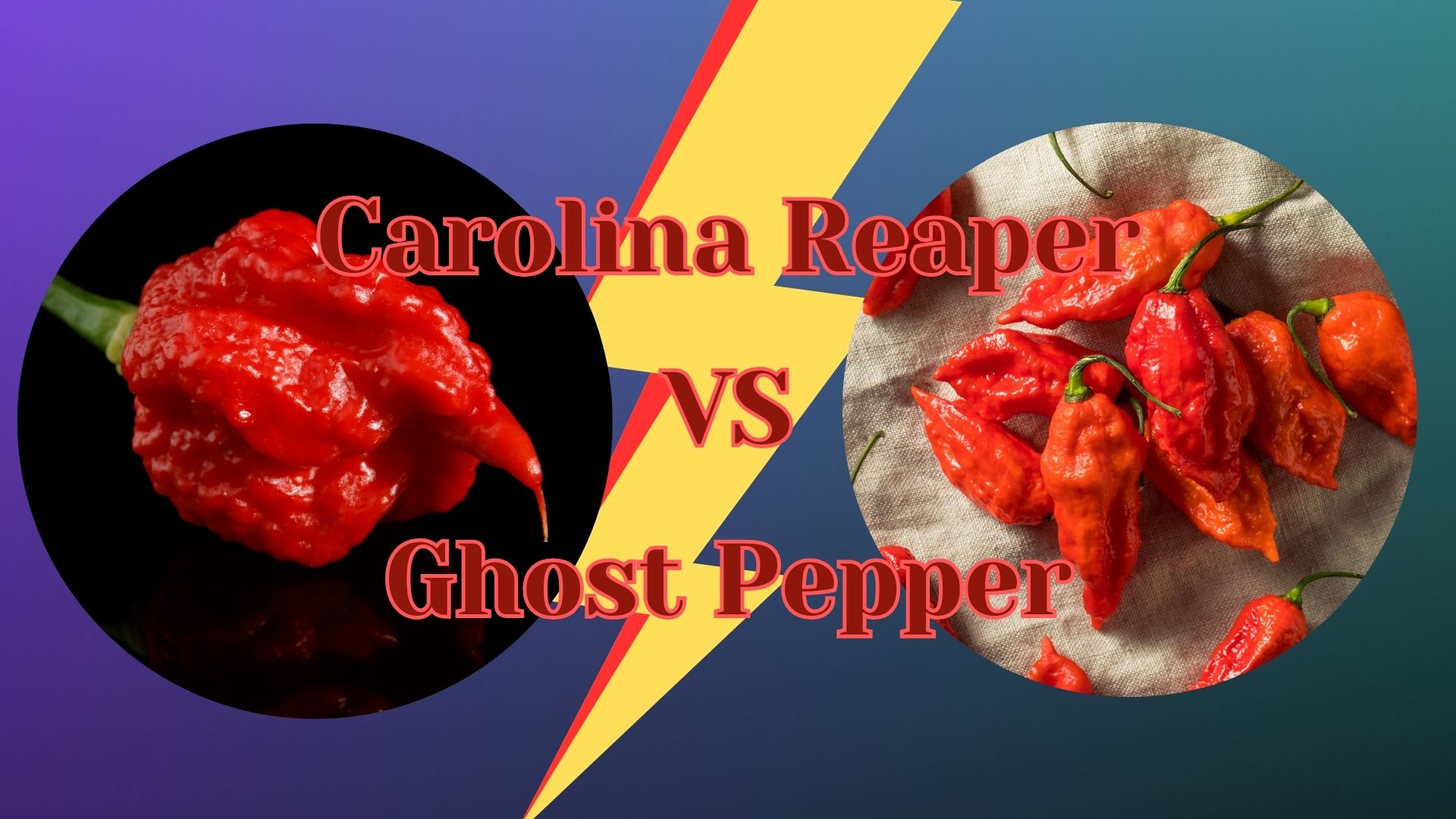 Carolina Reaper vs Ghost Pepper — The Kingdom Of Hot Peppers - The ...